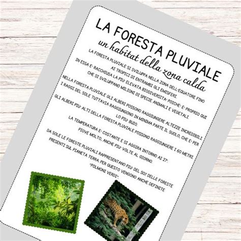 Schede Didattiche Sulla Foresta Pluviale Edudoro