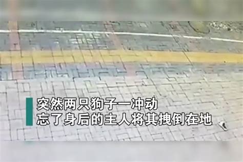 遛狗最高境界女子遛狗不成反被狗遛拖鞋飞了都顾不上捡