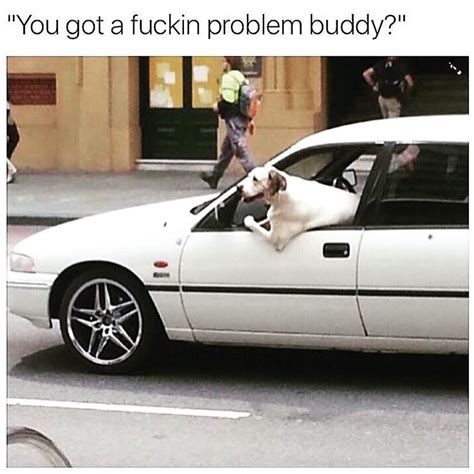 You Got A Fuckin Problem Buddy Funny