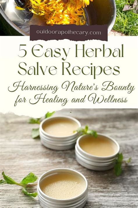 5 Easy Herbal Salve Recipes The Outdoor Apothecary