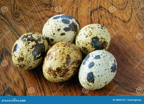 Ovos De Codorniz Imagem De Stock Imagem De Pequeno Ovos