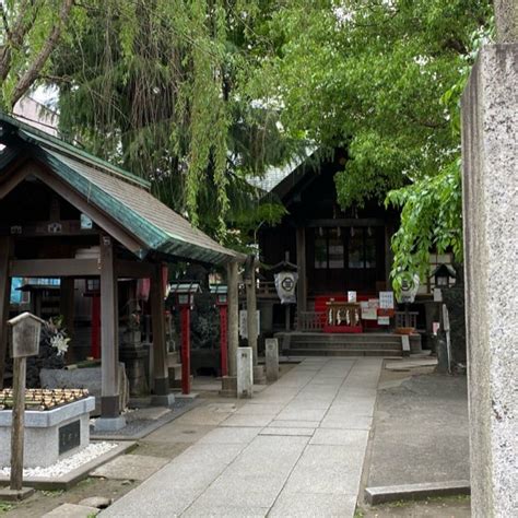 御礼参り まるちゃのsehari Hari