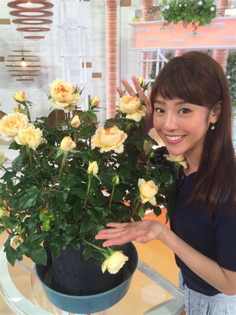 薔薇 BLOG cent FORCE Channel