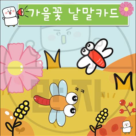 교구 가을꽃 낱말카드실물자료 만자디자인