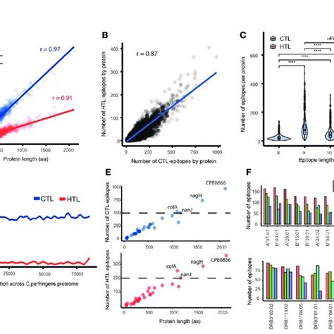 Description Of The Predicted Epitopes In C Perfringens A Download Scientific Diagram