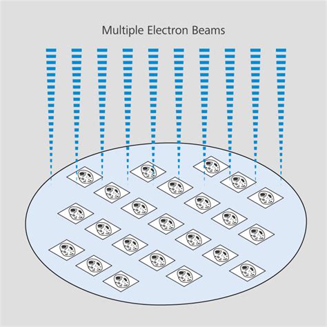 volume em with multibeam array tomography