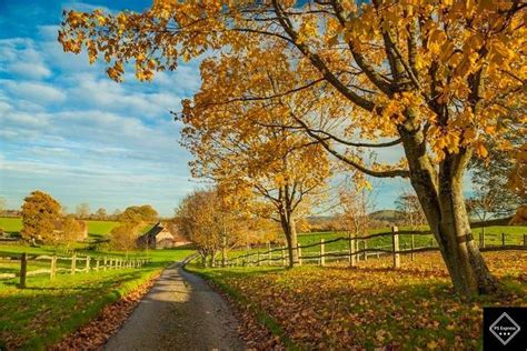Autumn Afternoon In West Sussex Countryside
