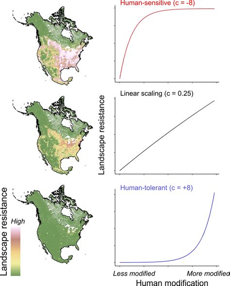 The Way That Human Modification Influences Landscape Resistance May Download Scientific Diagram