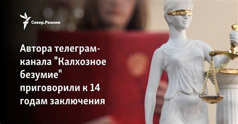 Автора телеграм канала Калхозное безумие приговорили к 14 годам