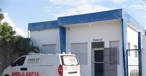 PapaOsoRD PapaOsoGomez Violencia Y Sangre El Matiz De La Primera Mitad De Febrero En RD