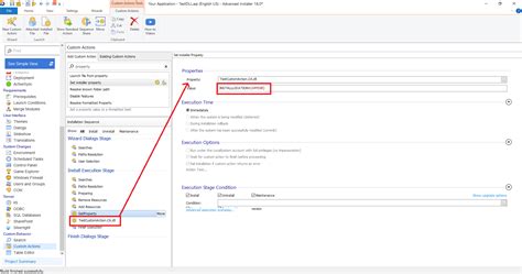 pass arguments to c dll custom action in msi alexandru marin