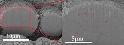 Ni Journal Of Colloid And Interface Science X Mol