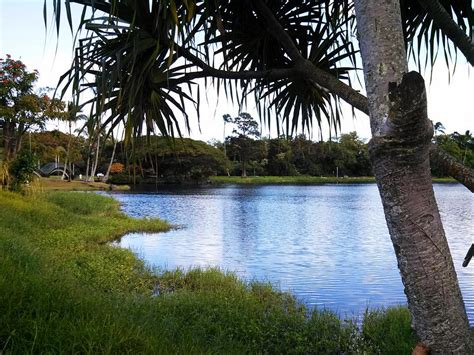 Hawaiian Lagoon In Hilo Photograph By Mary Mcdermid Fine Art America