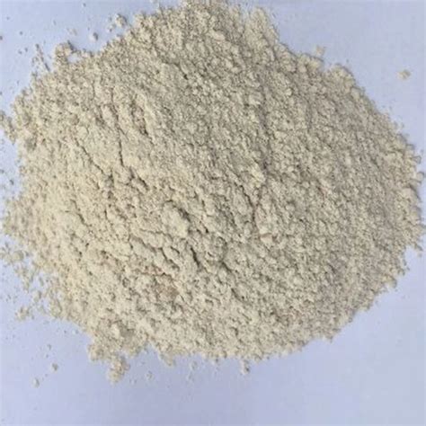 Bacillus Thuringiensis Israelensis Bt Insecticide Bt In Secticide