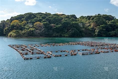 长崎 佐世保 蓝色 日本 岛 海洋 风景 牡蛎养殖场 水 天空
