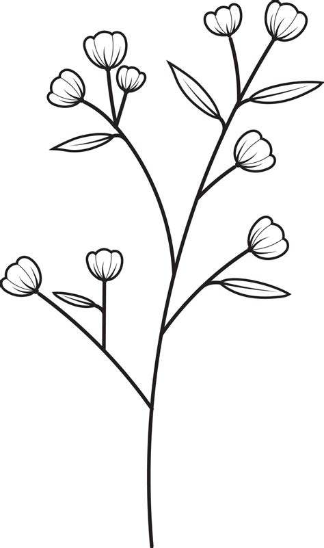 Hand Drawn Curly Grass And Flowers 22353921 Png