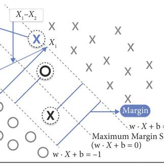 Decision Boundary And Margin Of The SVM Download Scientific Diagram
