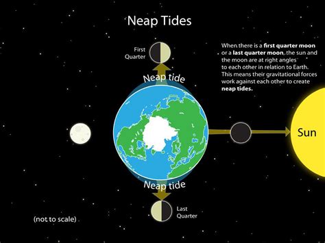 Neap And Spring Tides Uk 2025 Calendar Julian G Morey