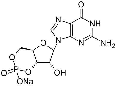 Guanosine 35 Cyclic Monophosphate Sodium Salt Cgmp，cyclic