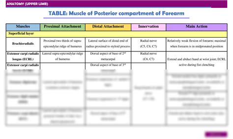 Solution Anatomy Assignment 1 Studypool