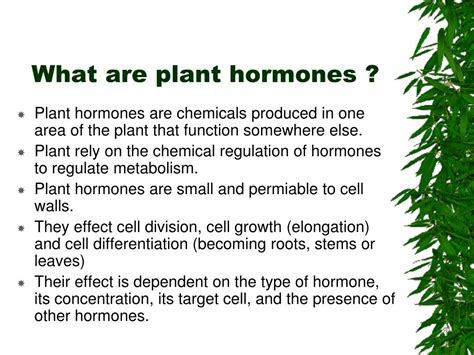 Ppt What Are Plant Hormones And How Do They Function Powerpoint