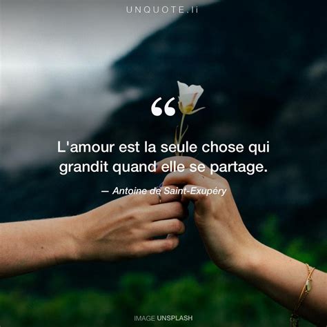 Lamour Est La Citation De Antoine De Saint Exupéry Unquote