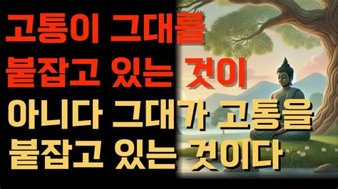 고통이 그대를 붙잡고 있는 것이 아니다 그대가 고통을 붙잡고 있는 것이다 부처님 오디오북 인생조언 노후준비 좋은글