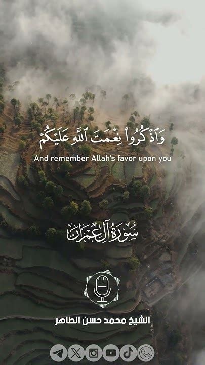 {يَا أَيُّهَا الَّذِينَ آمَنُوا اتَّقُوا اللَّهَ حَقَّ تُقَاتِهِ } Youtube