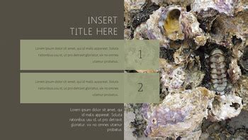 Fossil Templates PPT