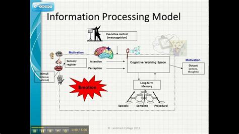 Information Processing Type