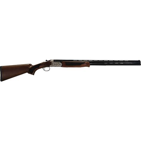 Pointer Acrius Field Shotgun 20 Ga 28 In Walnut 3 In Kinsey S Inc