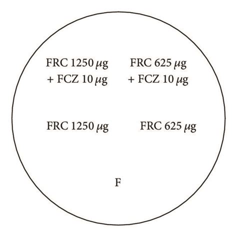 Agar Disk Diffusion Assay To Visualize The Synergism Of Fcz With Frc