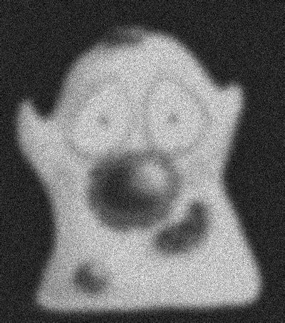 Noise · Analyzing Fluorescence Microscopy Images With Imagej