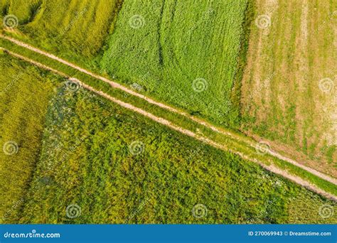 Aerial View Of Agriculture Fields And Road Arable Land View From