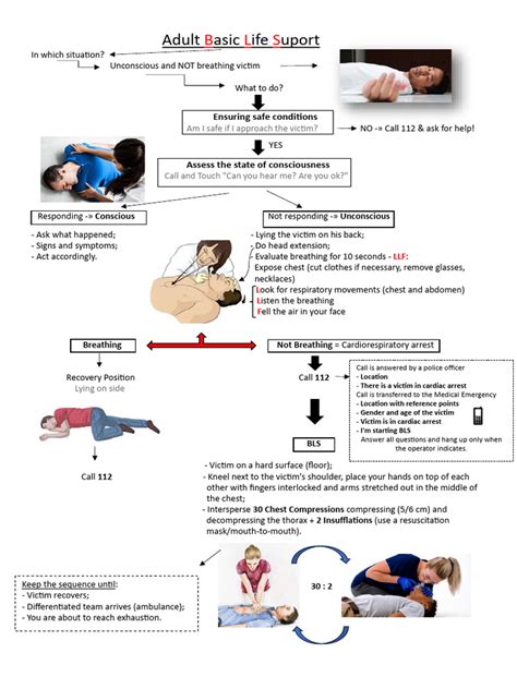 Basic Life Suport Adult Pdf Medical Emergencies Clinical Medicine