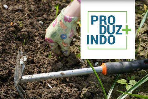 Plantas Daninhas Aprenda A Controlar Essas Dicas