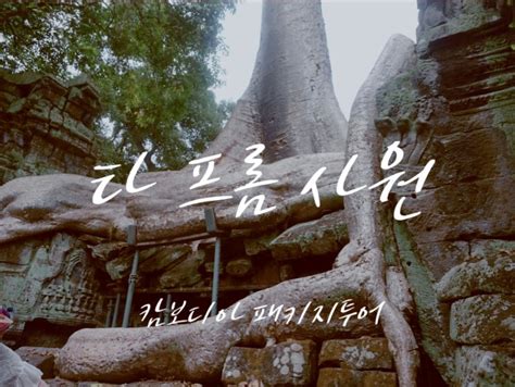 [캄보디아 앙코르와트 패키지] 사람과 자연의 합작품 타프롬 사원 네이버 블로그