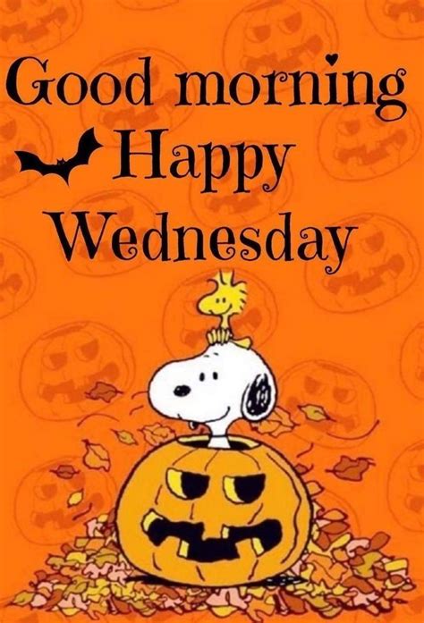 Pin de Judy Vassar en facebook happy day en 2024 Feliz miércoles
