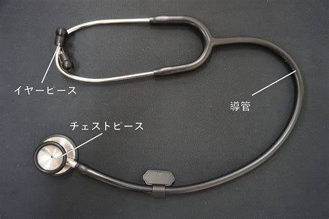 ファイル図 概要 聴診器の構造 一歩一歩