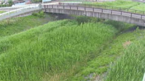 新川最下流点ライブカメラ埼玉県さいたま市西区 ライブカメラdb