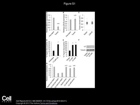 Anticancer Activity Of The Cholesterol Exporter Abca1 Gene Ppt Download