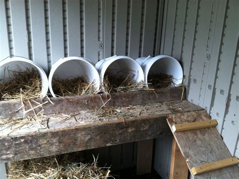 Diy Nest Boxes For Chickens