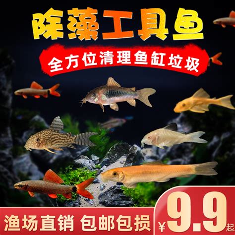 宠物美容师工作服防毛防水防猫抓洗护七分长裤美容袍防静电不粘毛 虎窝淘