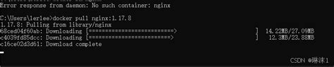 【docker部署nginx】 csdn博客