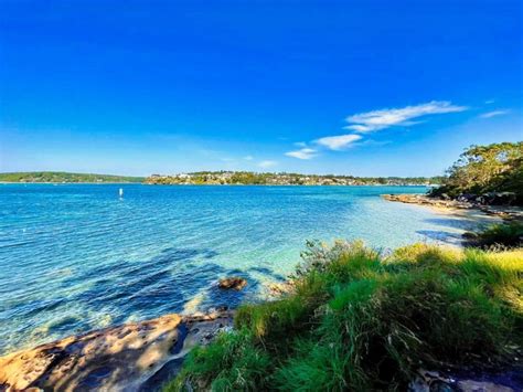 Good To See The Sutherland Shire Council Focusing On Technology And Roles Available On The