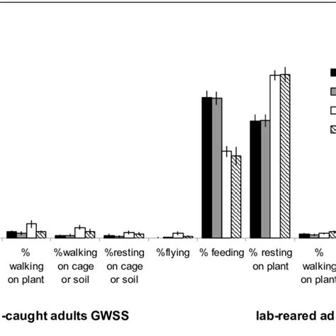 Behaviors Performed By Caged Gwss Adults Observed During Daylight