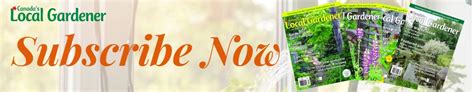 Canadas Local Gardener Canadas Local Gardener Magazine
