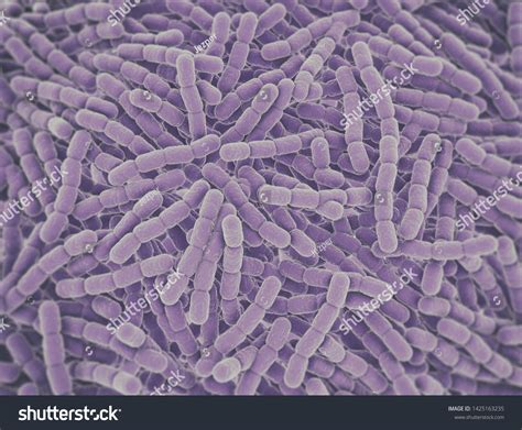 Streptococcus Pneumonia Bacteria Cells Microscopic 3d Stock