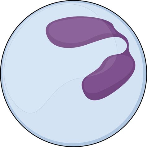 Monocyte Figure Science Figures