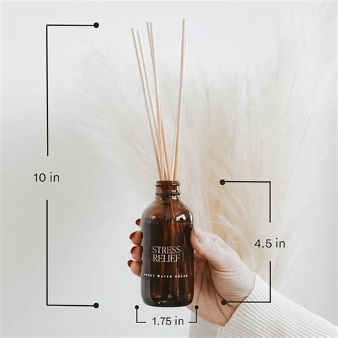 Sweet Water Decor Farmhouse Amber Reed Diffuser Set Apple Orange